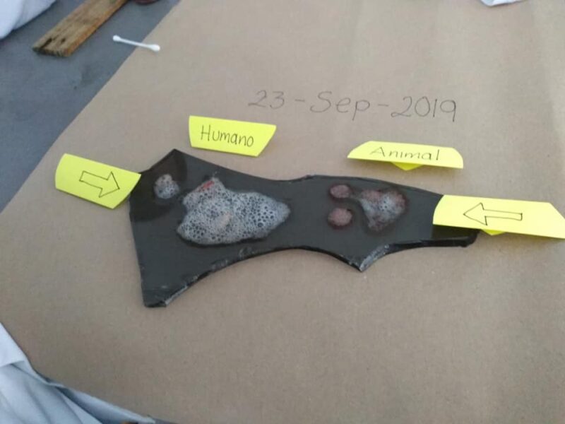 Los indicios y su clasificación