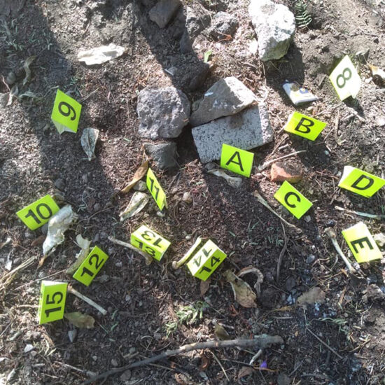 Los indicios y su clasificación