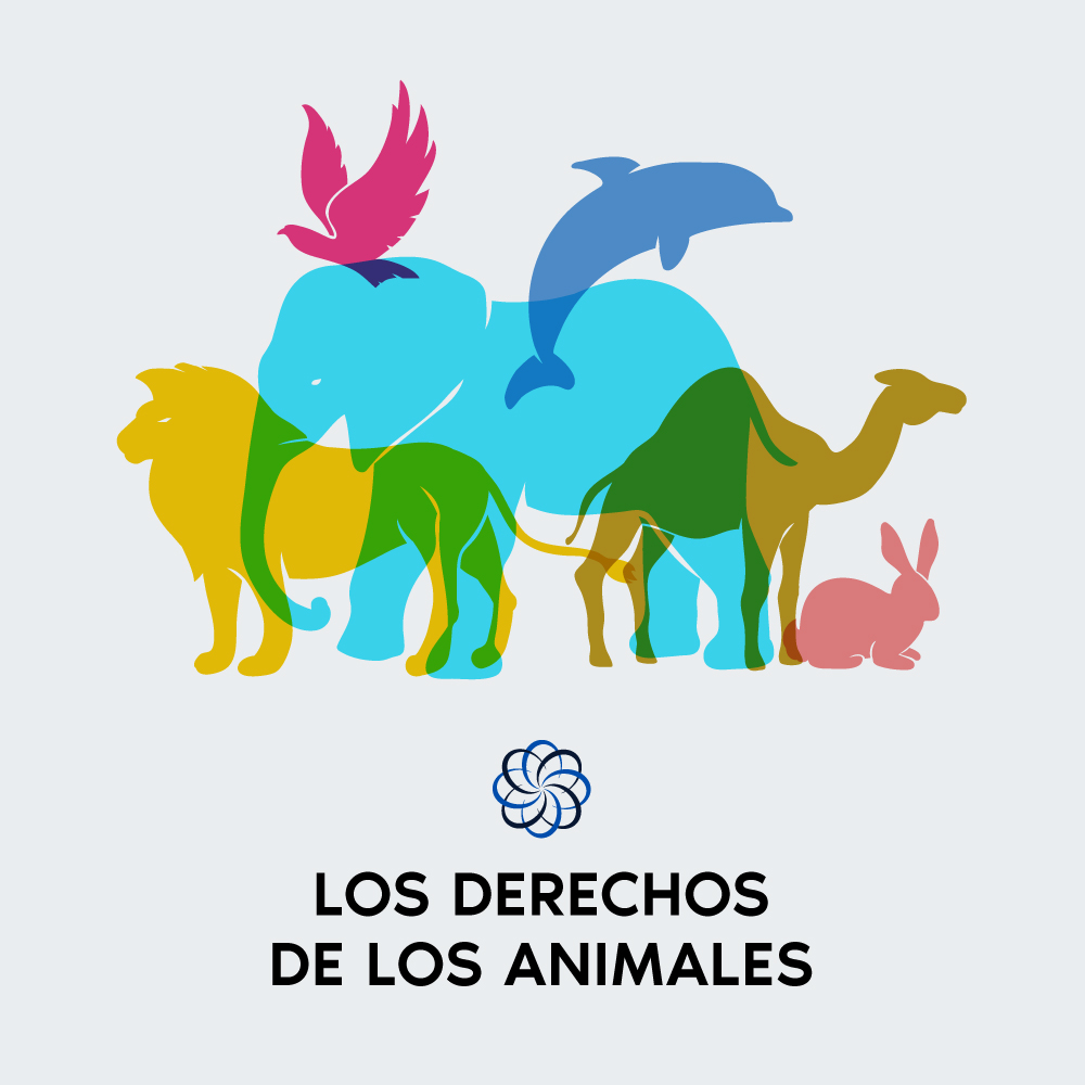 Derechos de los animales | Colegio Jurista Blog