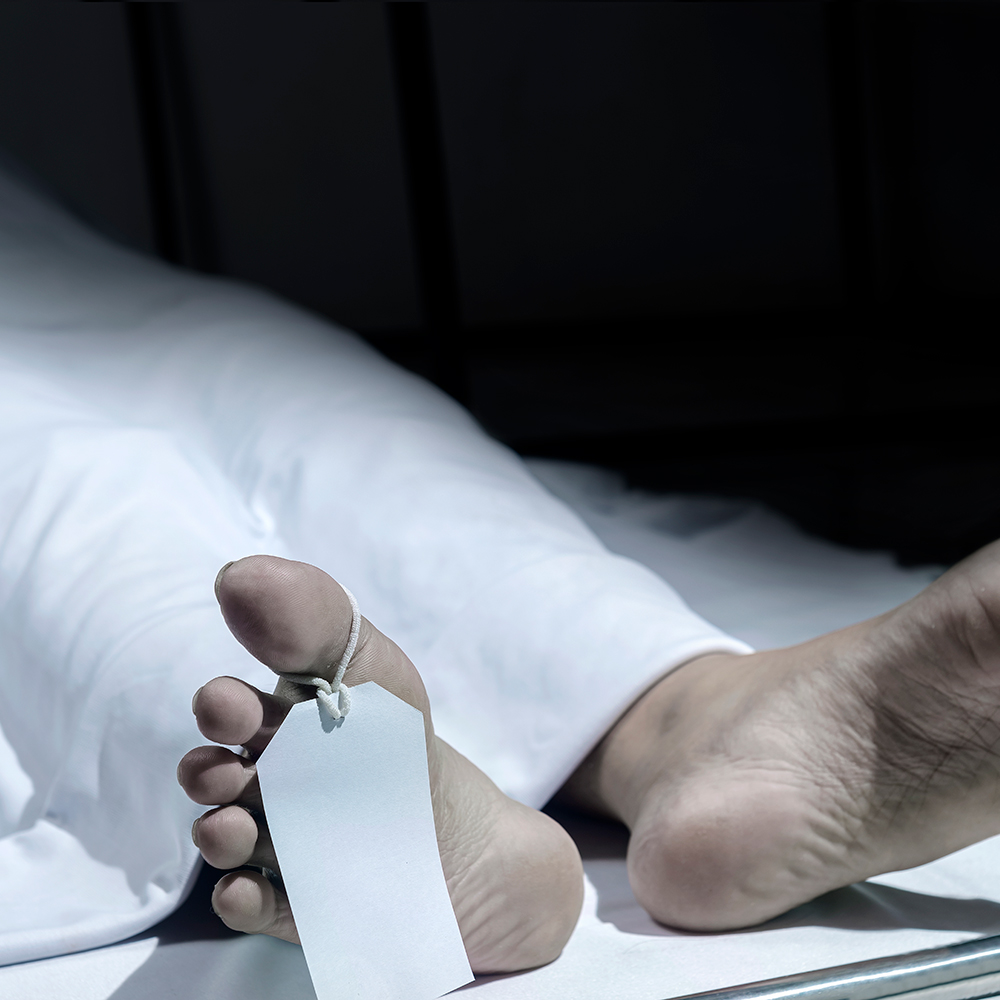 Conservación de cadáveres | Colegio Jurista Blog