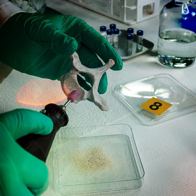 La importancia del CNI en México | Colegio Jurista Blog